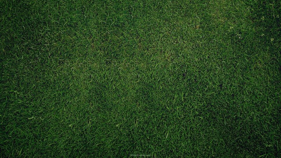 FIFA World Cup 2026 Background with Logo and Football Grass Field ...